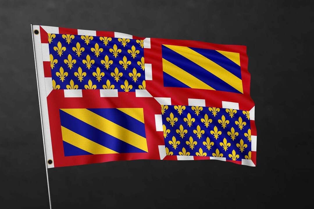 Burgundy Flag Banner | France Region Flags | High Quality Materials - Etsy