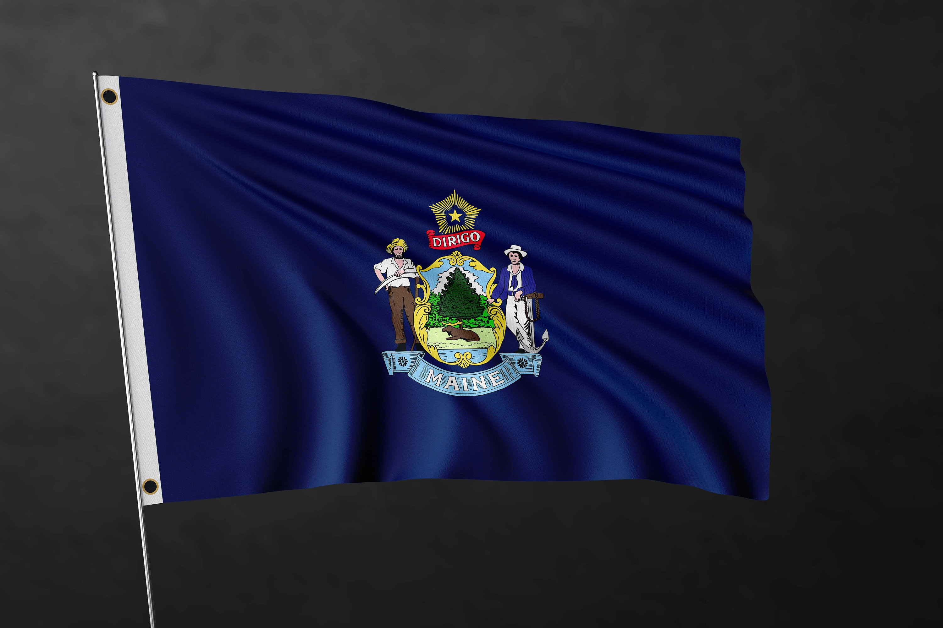 MAINE FLAG ; ; - US STATE OF MAINE FLAGS - BANNER H C $3.94 gefinforma.com
