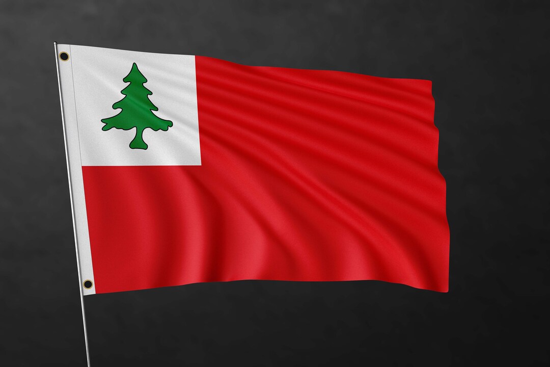 Continental Flag Banner | High Quality Materials - Etsy