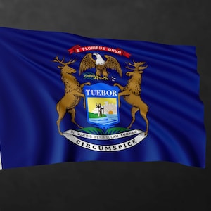 Michigan Flag Banner | United States of America Flags | High Quality ...