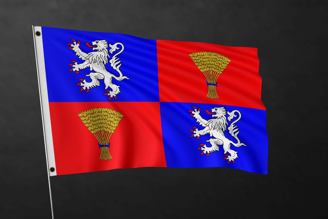 Gascony Flag Banner | France Region Flags | High Quality Materials - Etsy