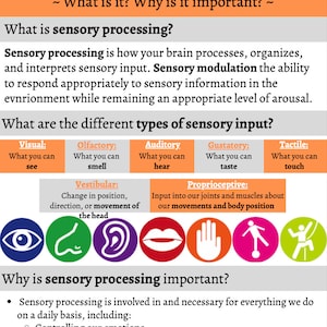 Pediatric Occupational Therapy Parent Handout Bundle - Etsy