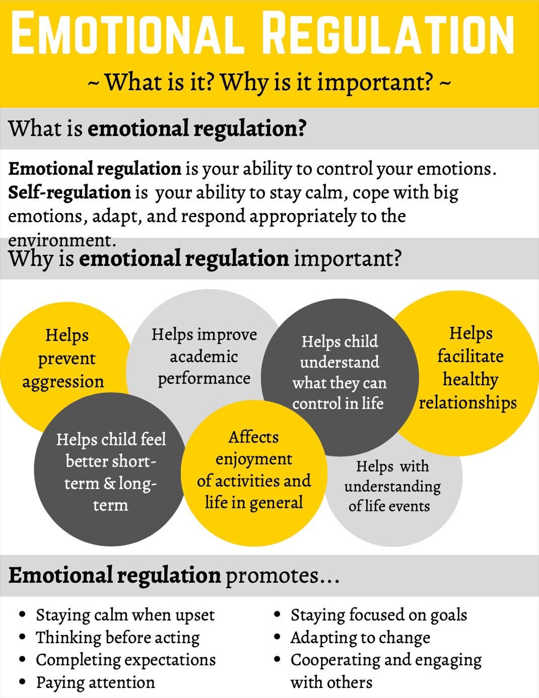 Emotional Regulation Parent Handout - Etsy