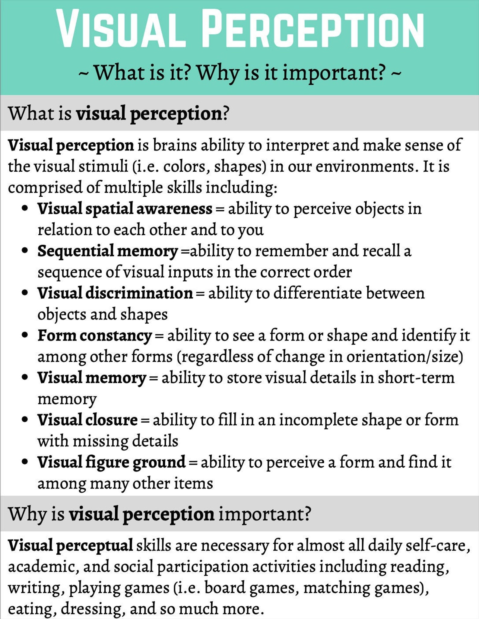 Visual Perception Parent Handout - Etsy