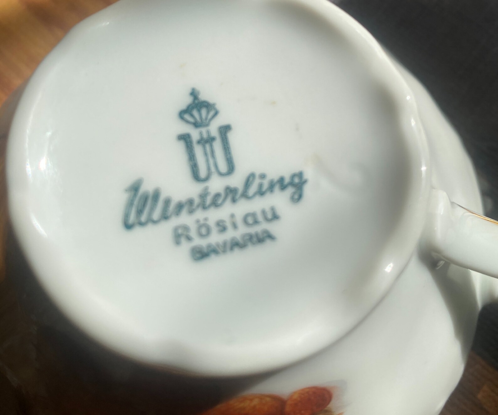 Bavarian Teacup Set Winterling Fruit Series Roslau Fine Bone China Gold ...