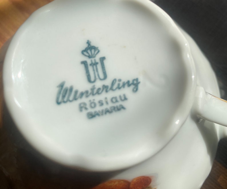 Bavarian Teacup Set Winterling Fruit Series Roslau Fine Bone China Gold ...