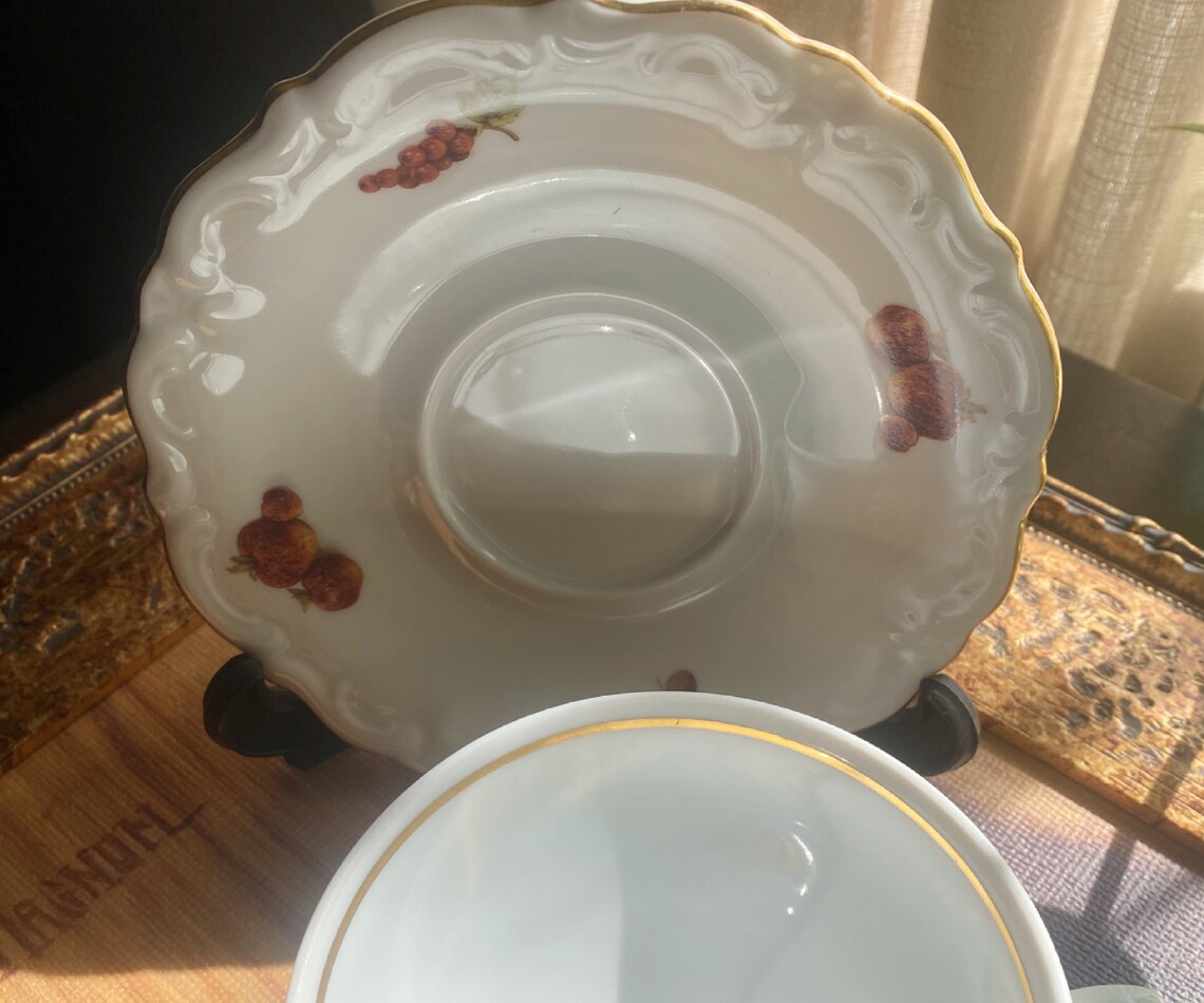 Bavarian Teacup Set Winterling Fruit Series Roslau Fine Bone China Gold ...
