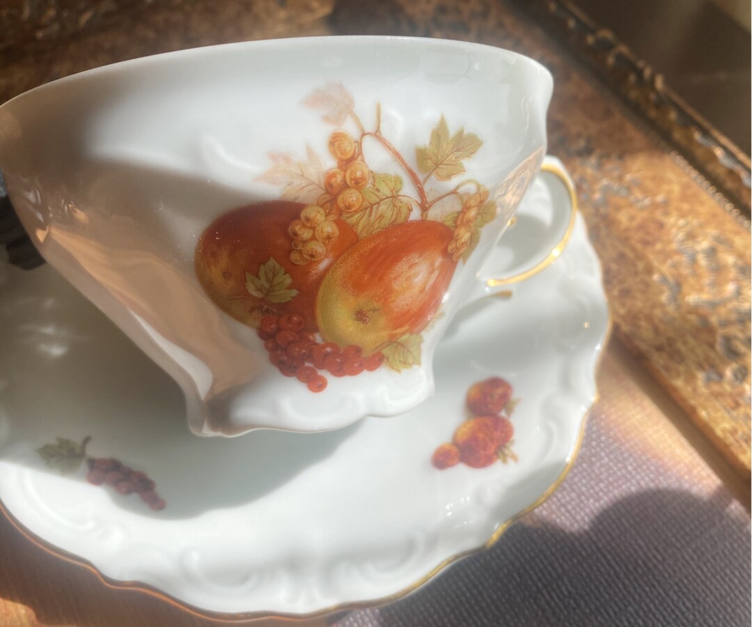 Bavarian Teacup Set Winterling Fruit Series Roslau Fine Bone China Gold ...