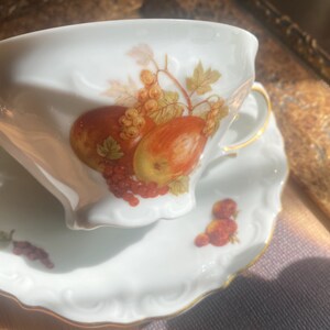 Bavarian Teacup Set Winterling Fruit Series Roslau Fine Bone China Gold ...