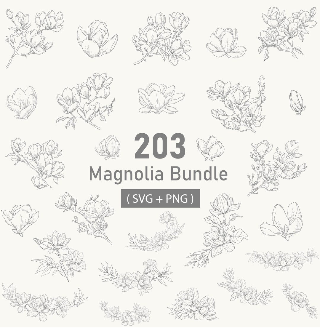 Magnolia SVG Bundle, Botanical Png, Hand Drawn Illustration, Magnolia ...