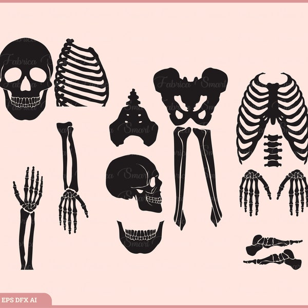 Skeleton Parts Svg - Etsy