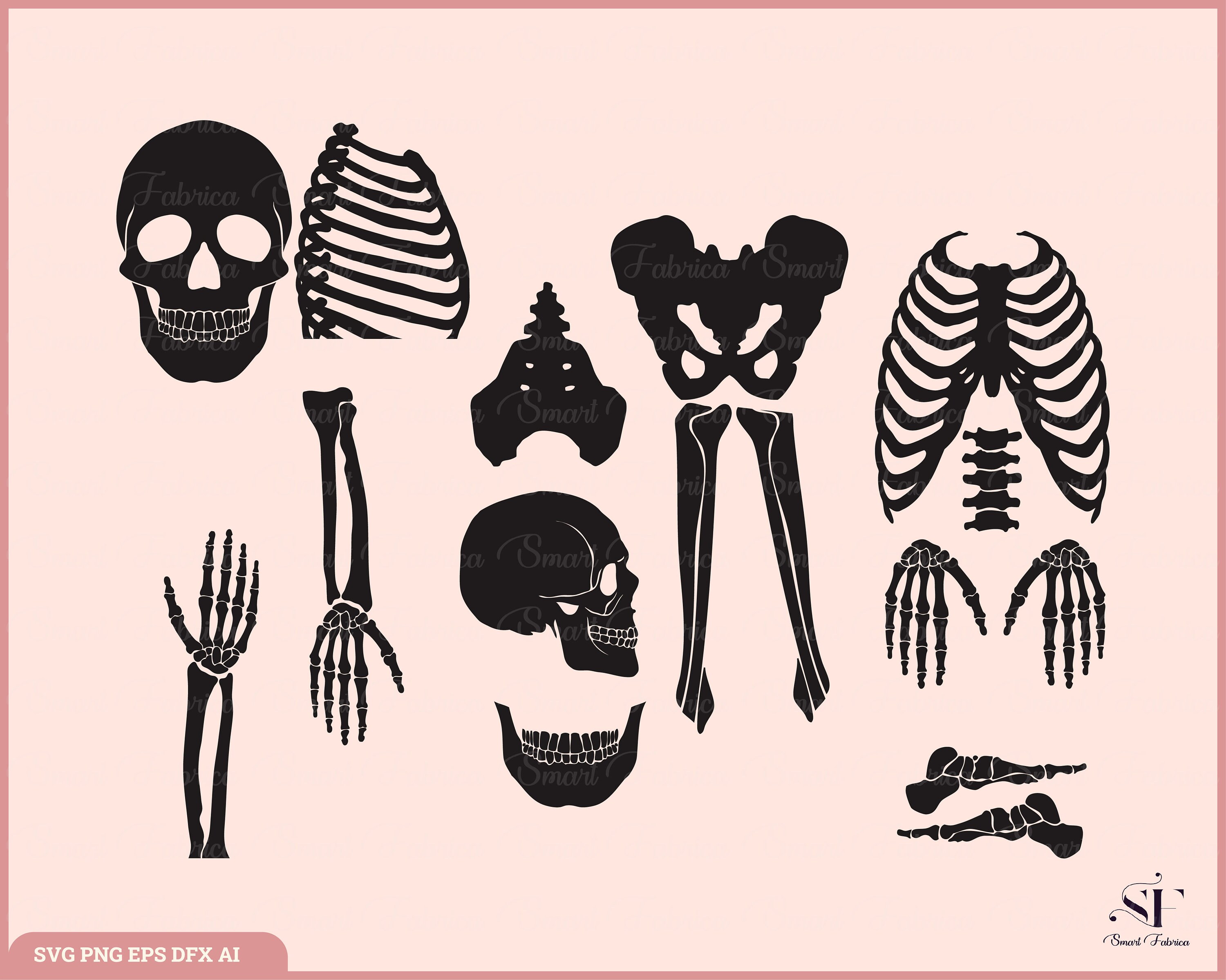 Skeleton Parts SVG, PNG, Skeleton Svg, Skeleton Parts Png, Halloween ...