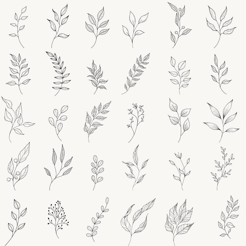 Hojas y ramas SVG, paquete de hojas SVG, clipart botánico, vector ...