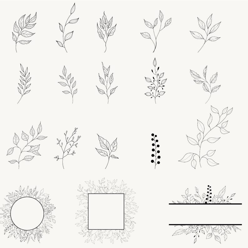 Hojas y ramas SVG, paquete de hojas SVG, clipart botánico, vector ...