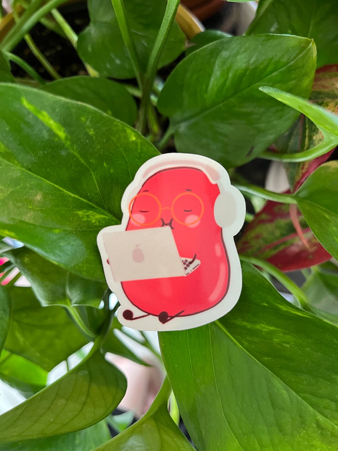 Laptop Bean | Cute Vinyl Sticker - Etsy