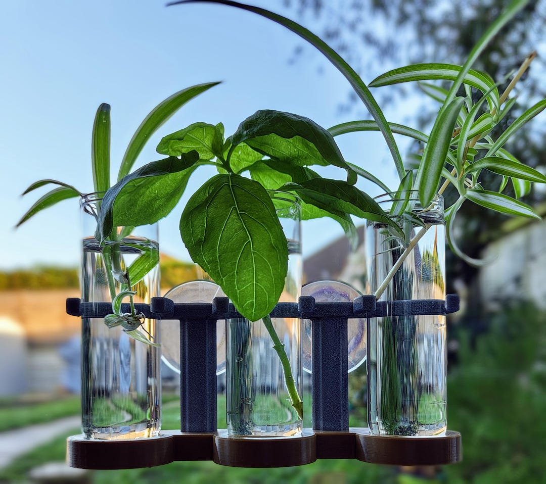 Plant Propagation, Window Plant Cutting Rooter, Propagator, Window ...