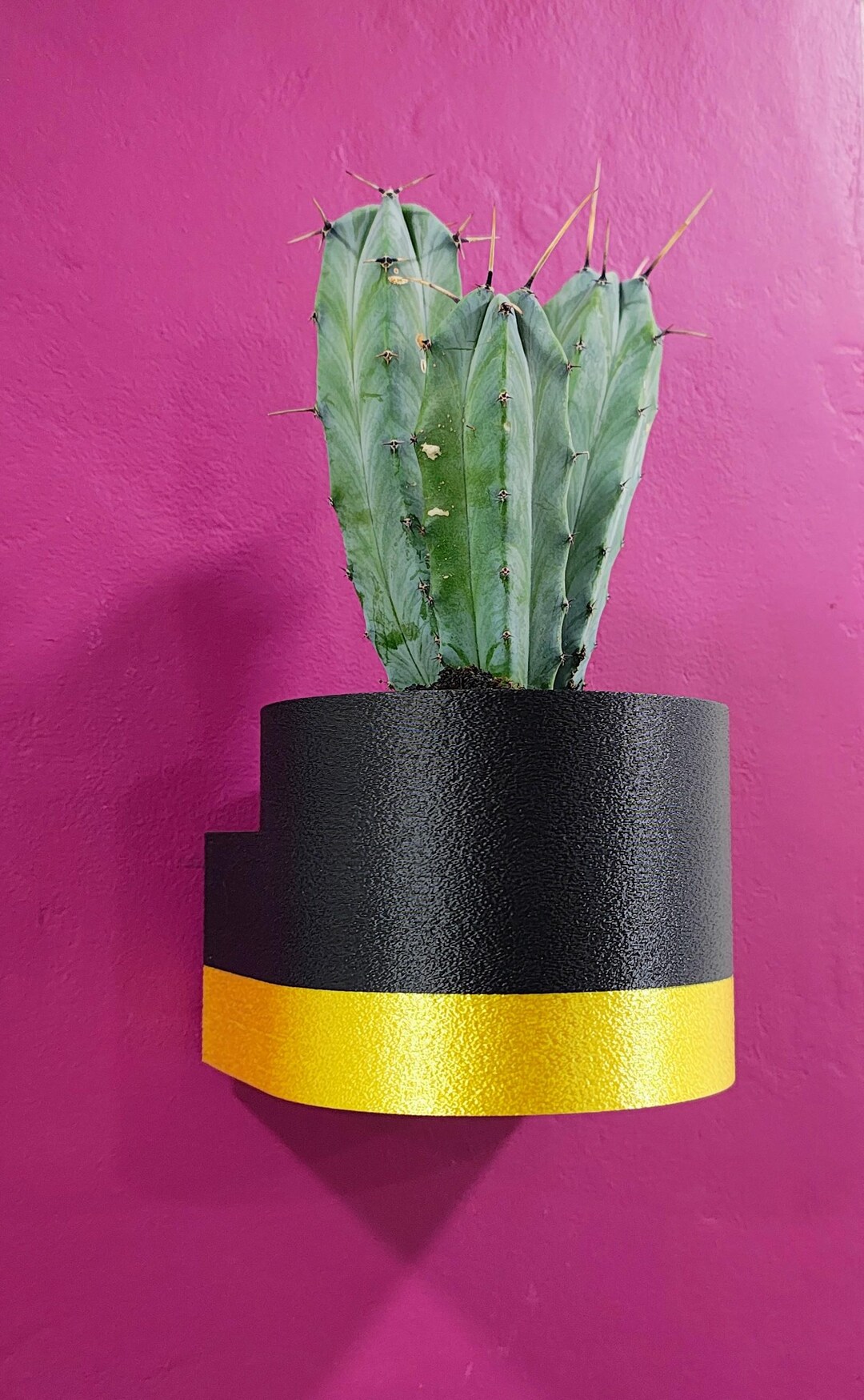 Window/wall Plant Pots. Storage Pots. Reptile Vivarium Pots. - Etsy