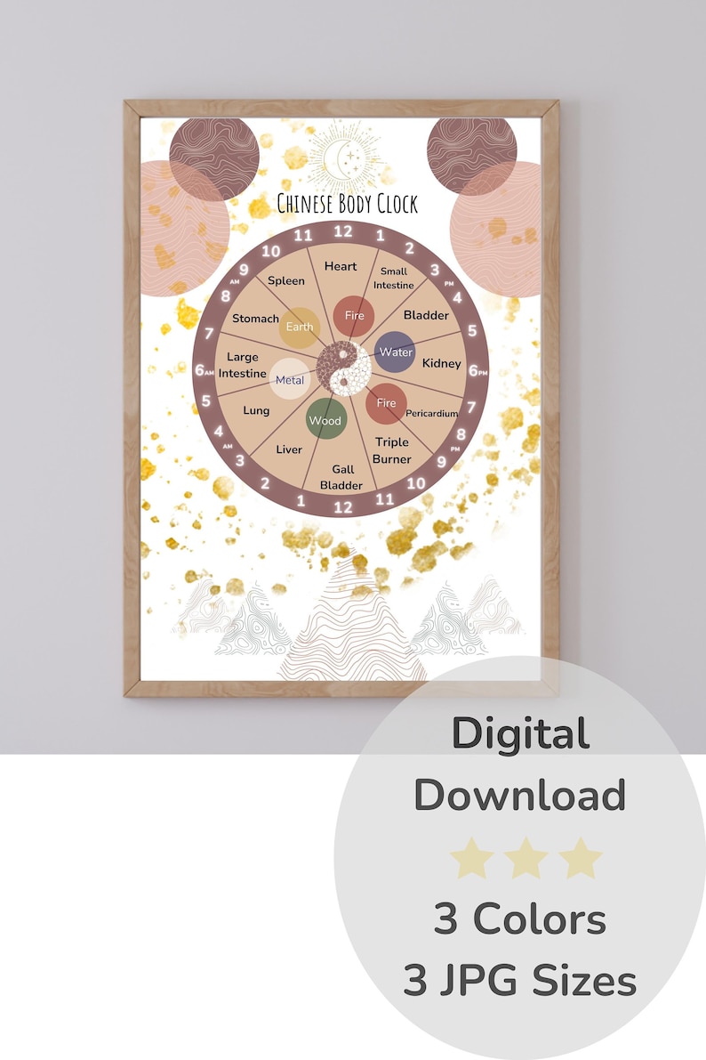 Chinese Body Clock, 24 Hour Circadian Clock Poster, Organ Clock Poster ...