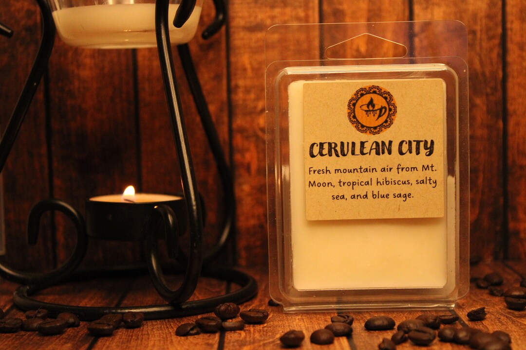 Pokemon Destinations Wax Melts -- Cerulean City - Etsy