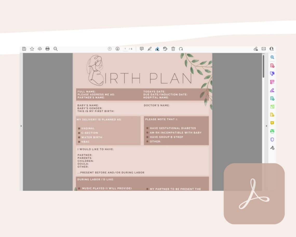 Editable Birth Plan Template, Hospital Bag Checklist Template, Canva ...