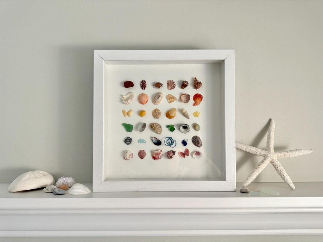 Wrack Line Design 4: Rainbow. Shell and Sea Glass Collage. 9x9 Frame - Etsy