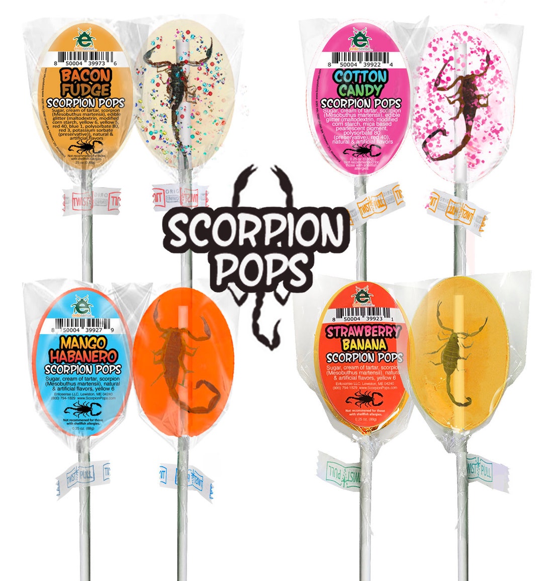 Scorpion Pops | Real Scorpions Encased in a Candy Sucker - Etsy