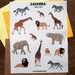 Savanna Sticker Sheet Animals Vinyl Weatherproof Indoor or - Etsy