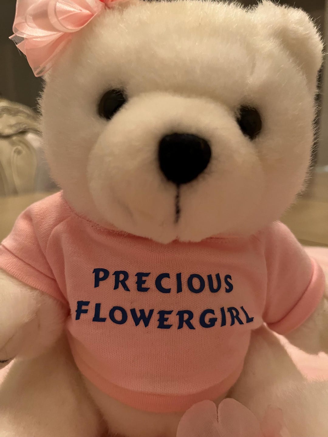 Adorable and Huggable Flower Girl Bear With Pink Shirt That Reads ...