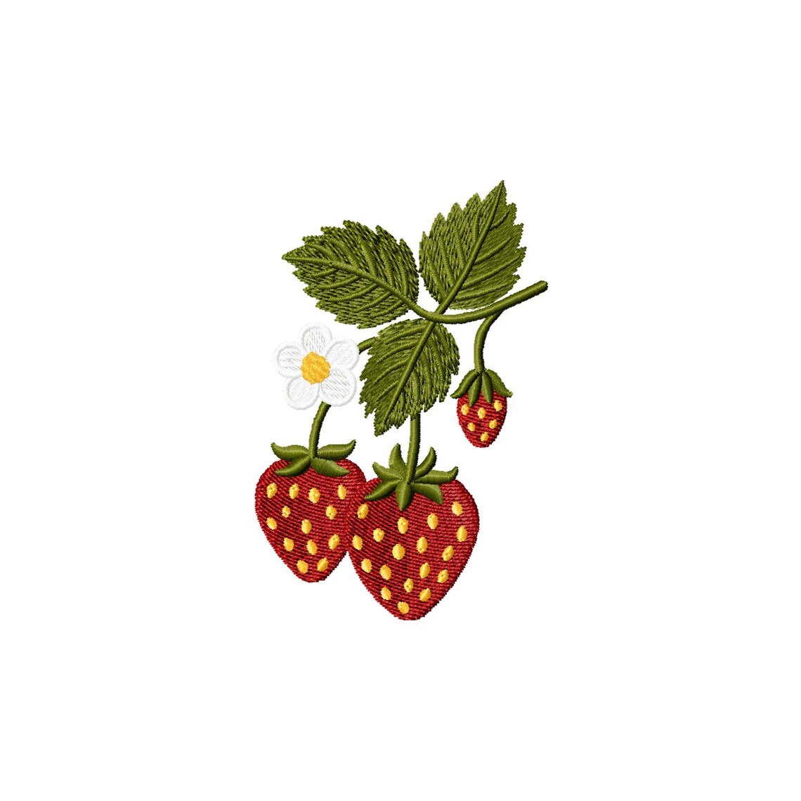 Strawberry Embroidery Design, Machine Embroidery Designs, Embroidery ...