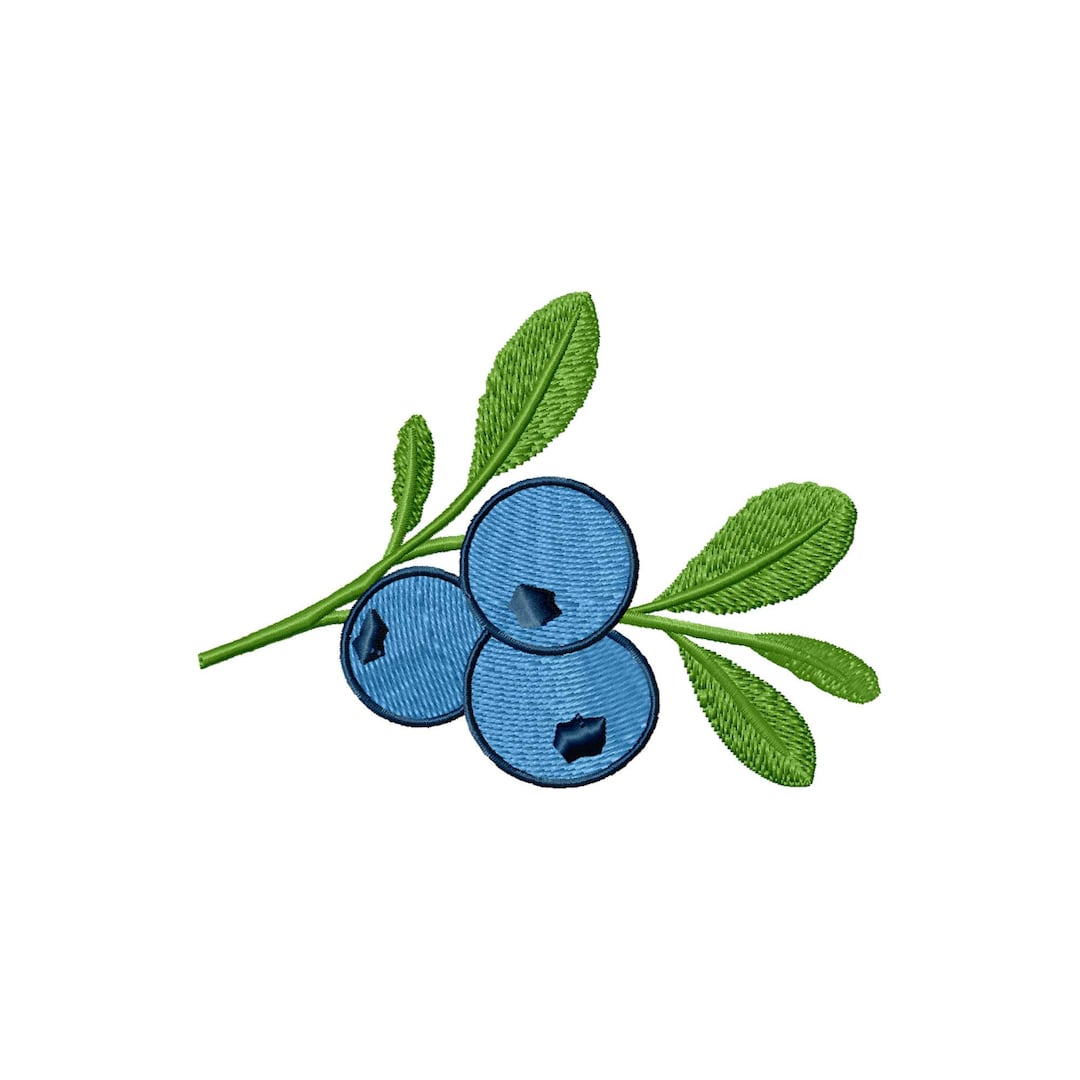 Blueberry Embroidery Design, Machine Embroidery Designs, Embroidery ...