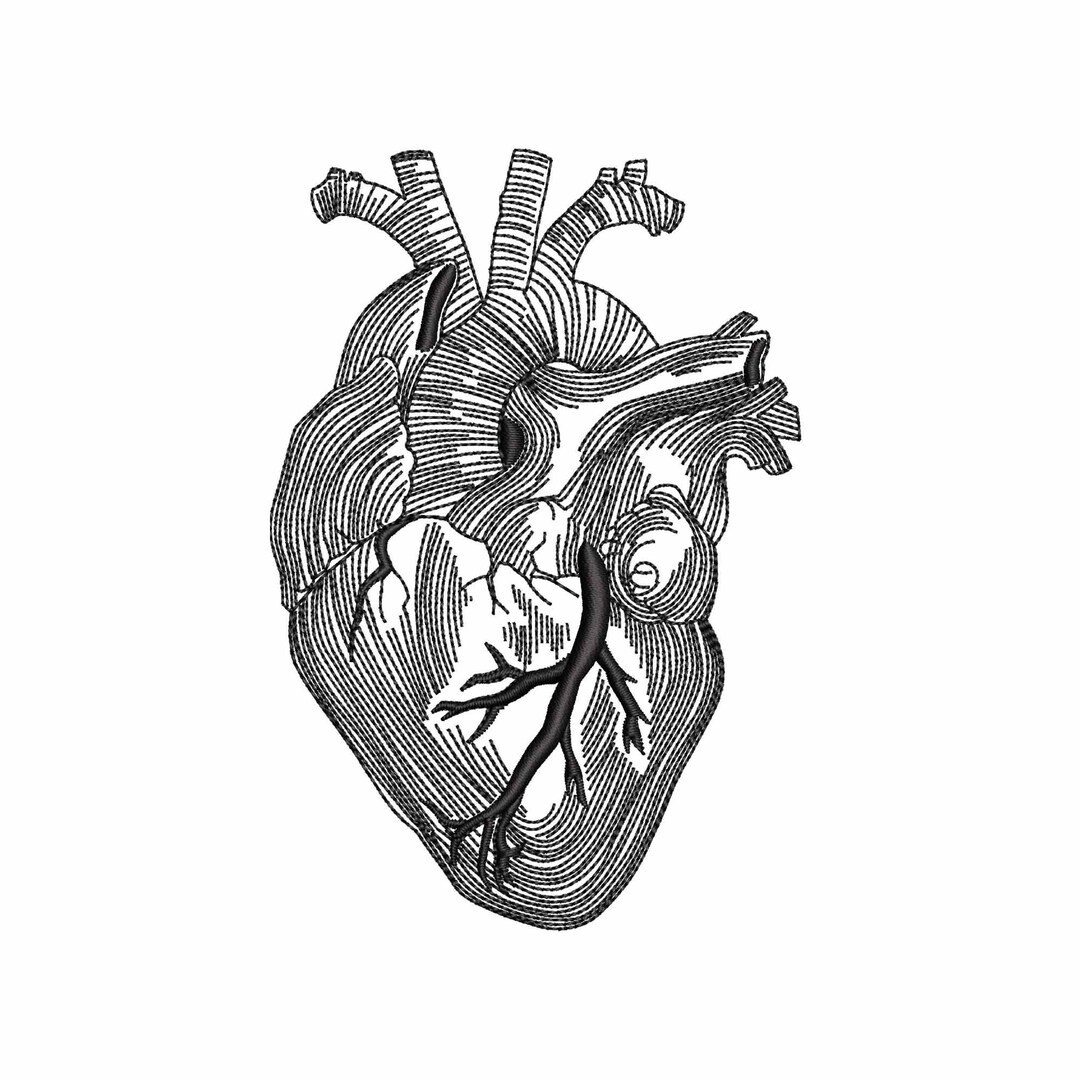 Anatomical Heart Embroidery Design: One-line Art (digital Download) - Etsy
