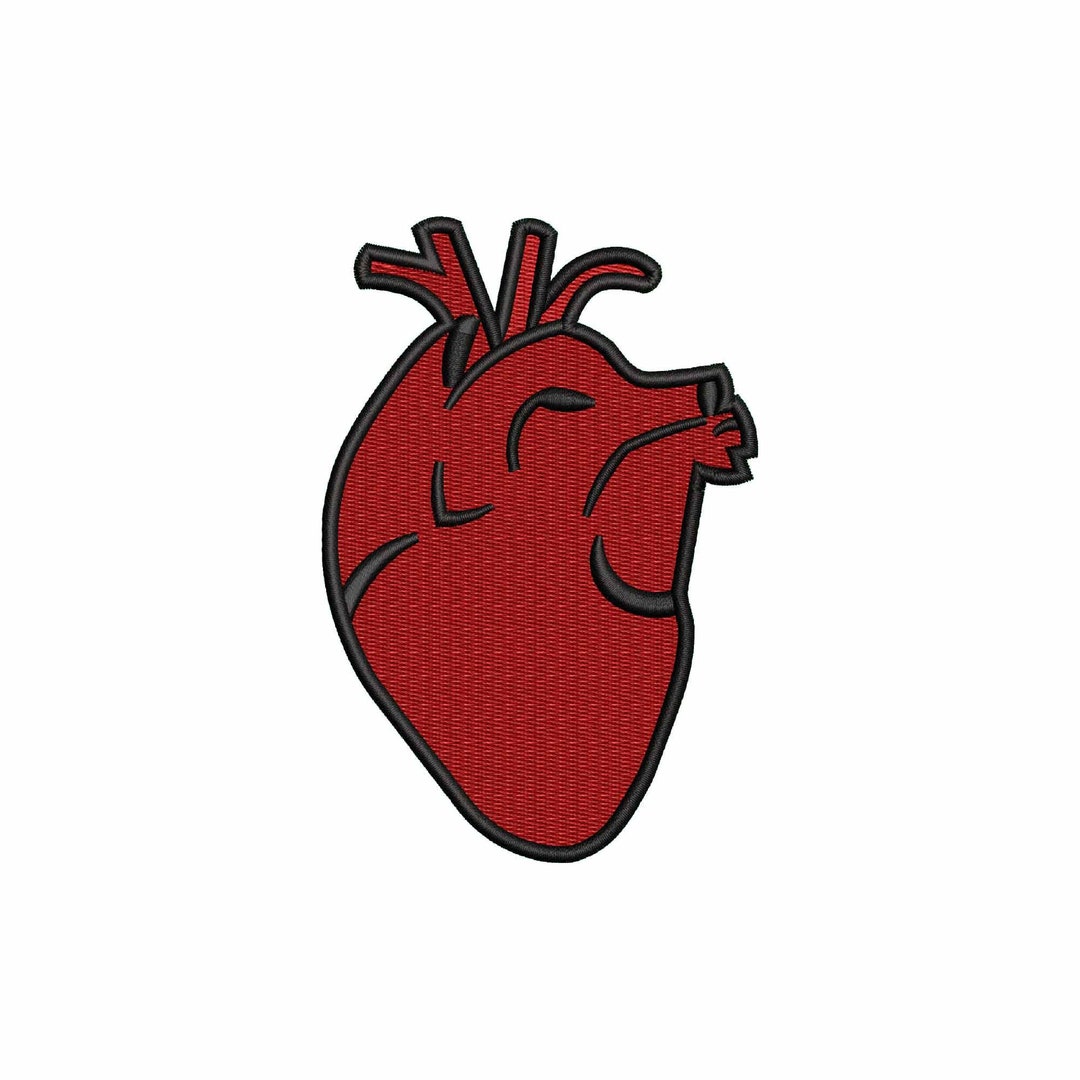 Anatomical Heart Embroidery Design - Etsy
