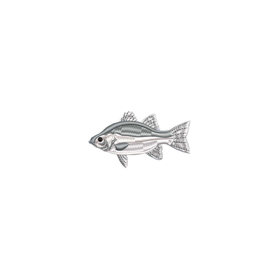 Mini White Bass Fish Embroidery Design: Fisherman File (digital ...