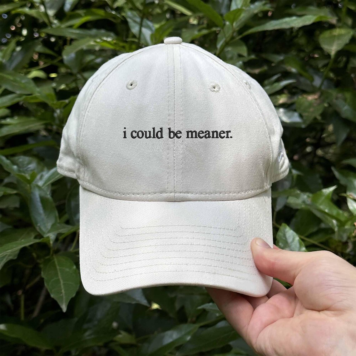 Funny Sarcasm Embroidery Design: I Could Be Meaner (digital Download ...