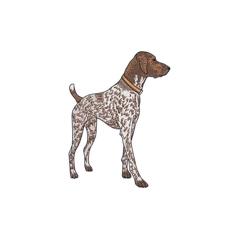 Gsp Dog Embroidery Files - Etsy