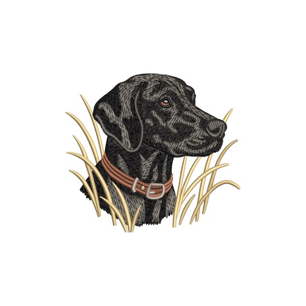 Lab Embroidery Design - Etsy