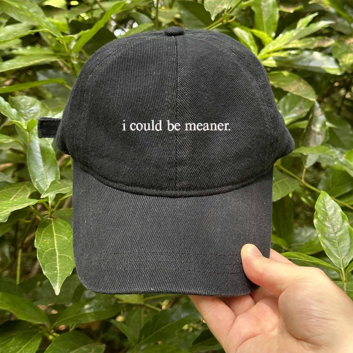 Funny Sarcasm Embroidery Design: I Could Be Meaner (digital Download ...