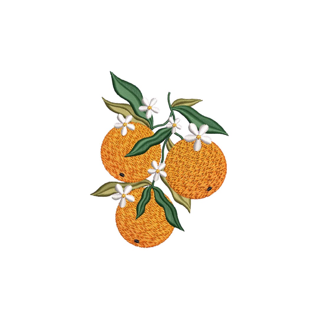 Oranges Embroidery Design, Flower Embroidery Design, Fruits Machine ...