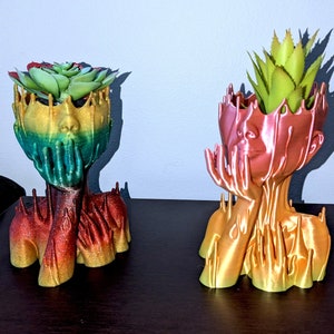 Melted Woman Face Planter / Flower Pot Decoration 3D Printed - Etsy