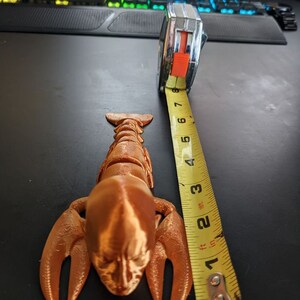 Articulated the Rock Lobster 3D Print - Etsy