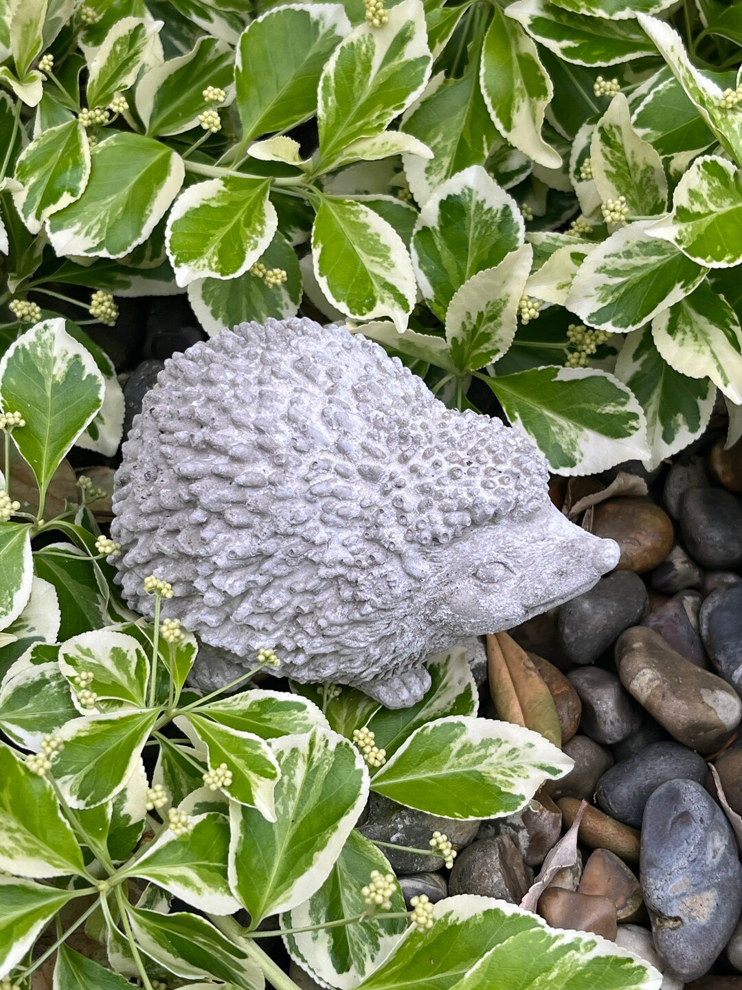 Small Hedgehog Garden Statue Concrete and Stonecast Ornament - Etsy