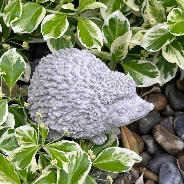 Hedgehog Statue - Etsy