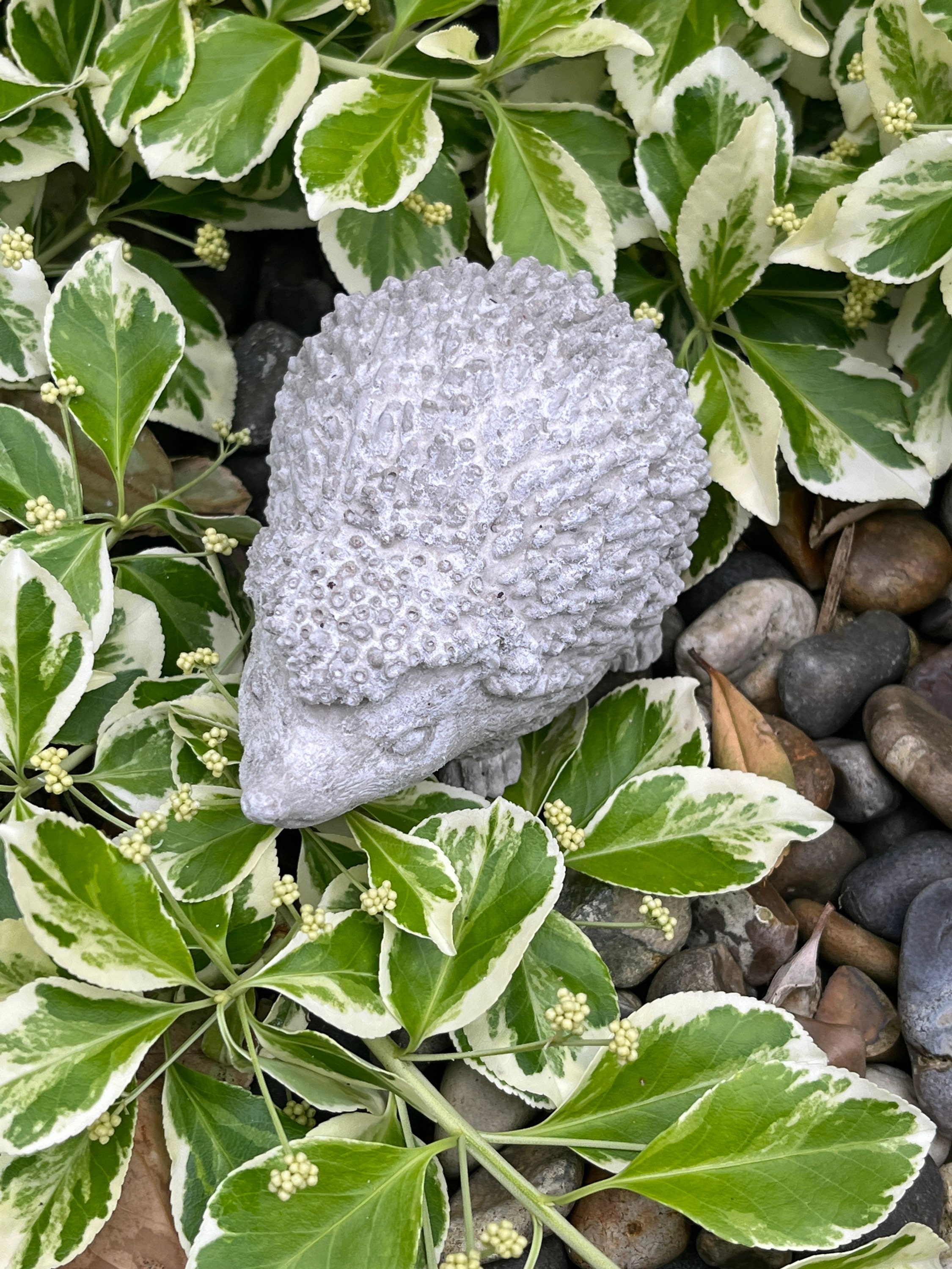 Small Hedgehog Garden Statue Concrete and Stonecast Ornament - Etsy