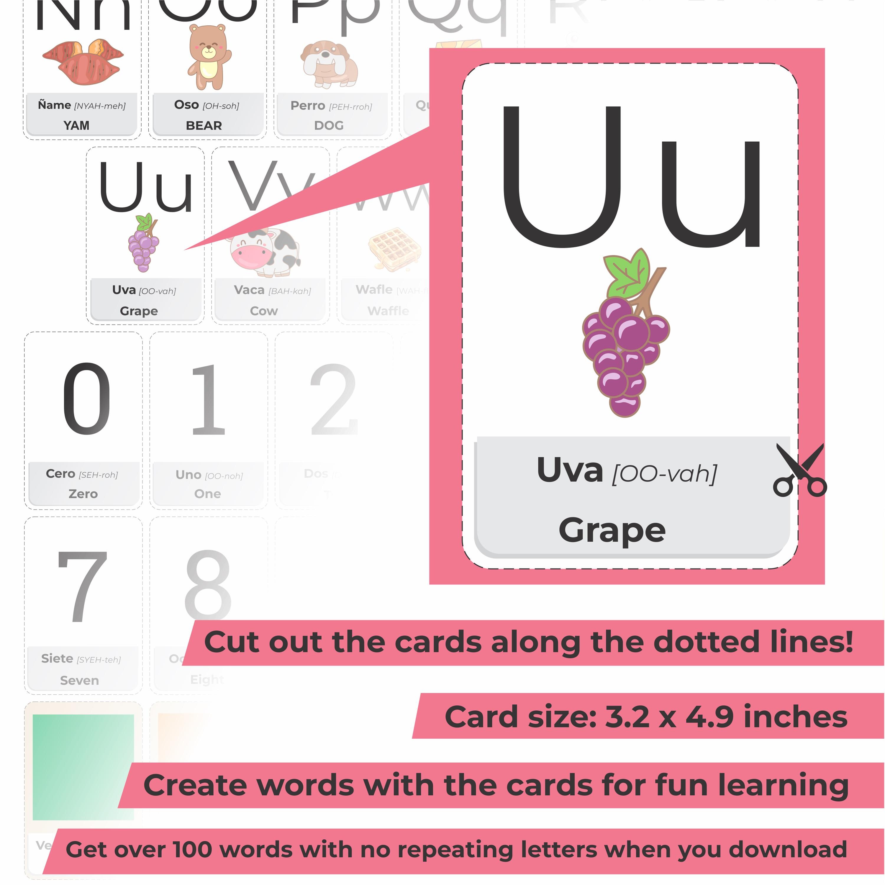 Spanish Alphabet, Numbers & Colors Poster for Kids | Learn Spanish ...