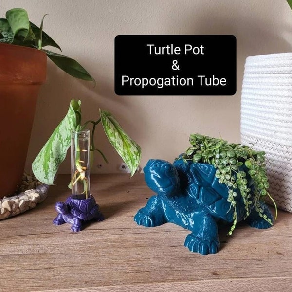 Turtle Pot - Etsy