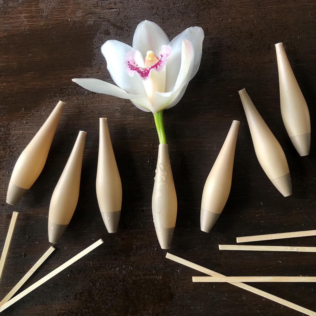 OLMS Waterpod Flower Tube - Etsy