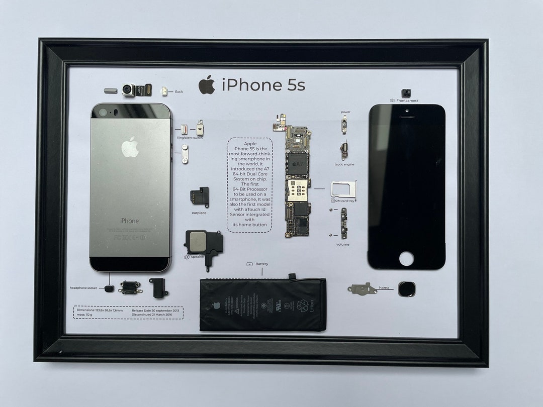 Iphone 5s Teardown Template Deconstruction Template For Etsy