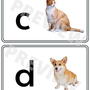 Digital Alphabet/phonics Cards (printable), Alphabet Cards, Phonics ...