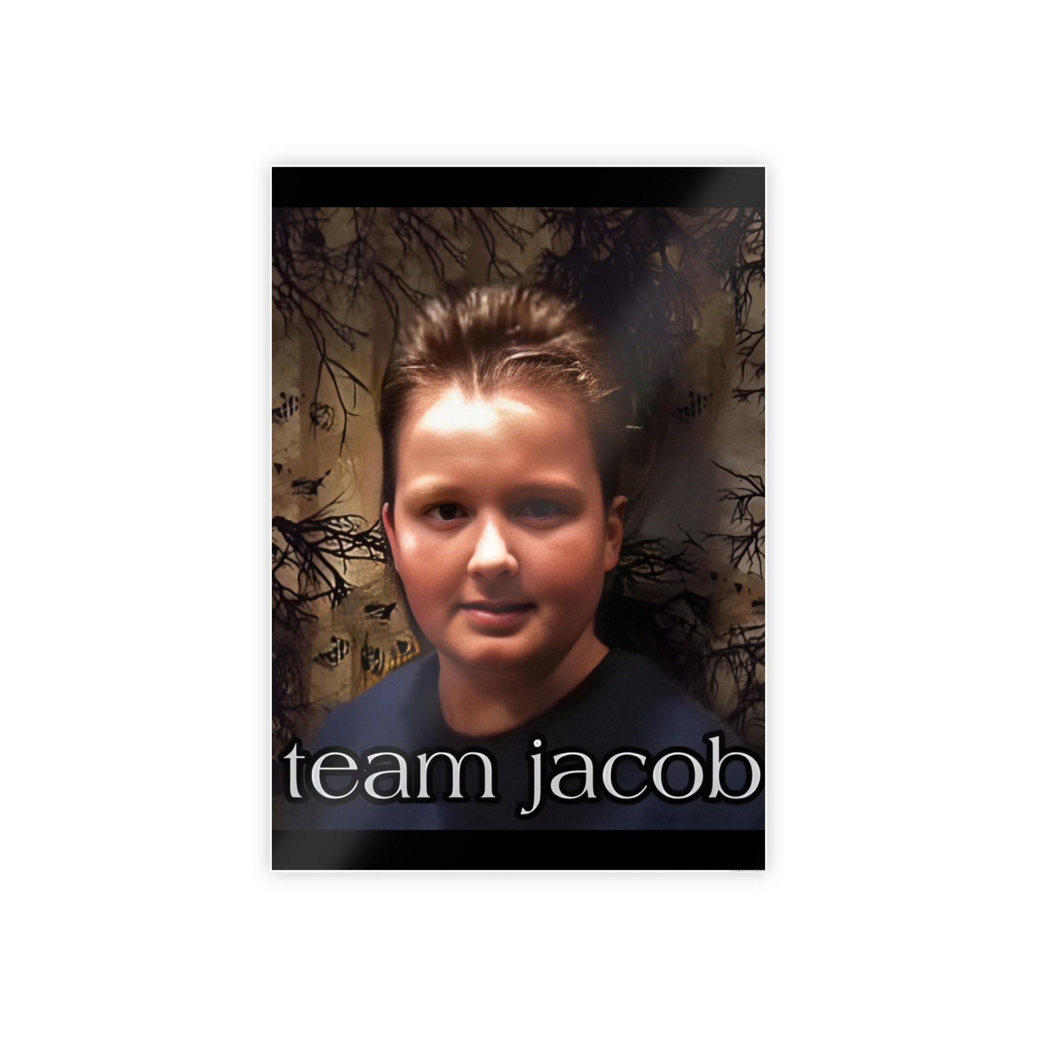 Team Jacob Poster • Twilight Merch • Team Gibby Vs. Team Edward ...