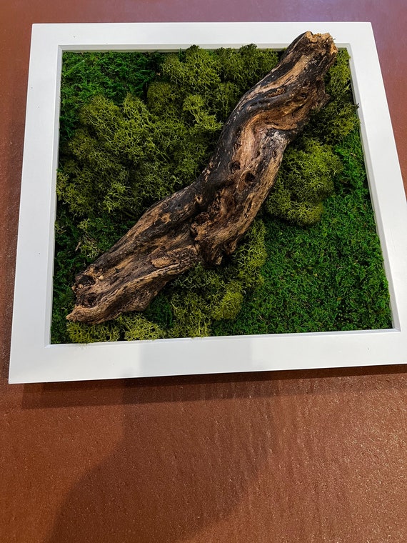 Wall Living Moss Frame - Etsy